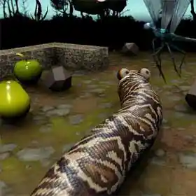 Snake Game