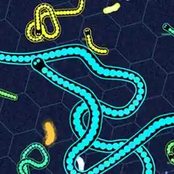 Snake Game